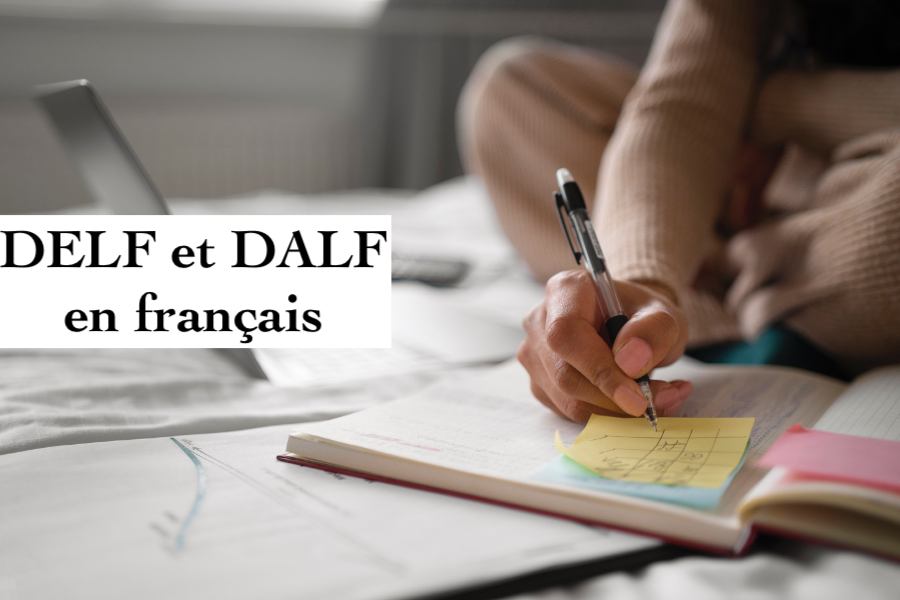 Подготовка к экзаменам по французскому языку: DELF и DALF ...
